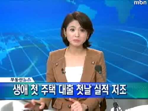 생애 첫 주택 대출 첫날 실적 저조