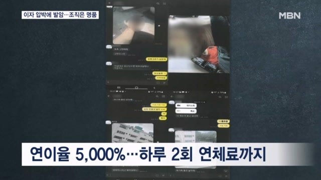 5,000% 이자 압박에 가출하고 암 걸려…사채조직은 명품에 슈퍼카 탔다