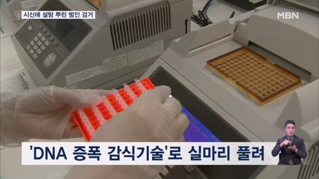 '12년 미제' 다방 살인사건…DNA 증폭 감식에 덜미