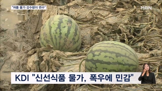 "신선식품 물가, 폭우에 민감" 이상기후에 올여름도 고공행진하나