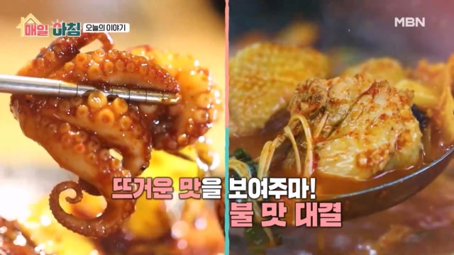 매일아침 : MBN 화요일 오전 9시30분 - MBN